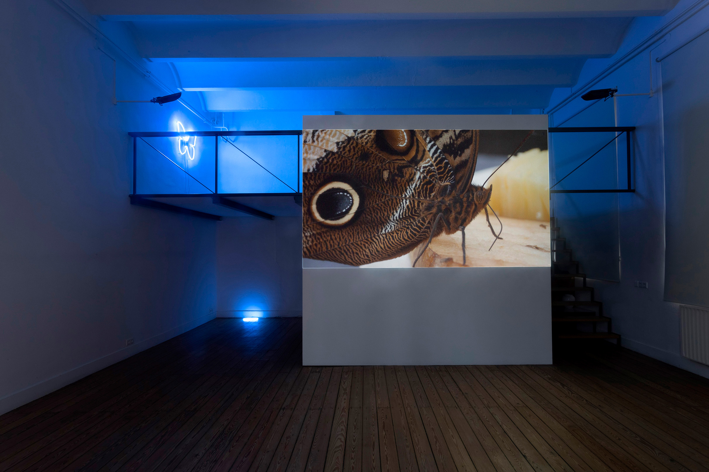 Ananda Serné / Works